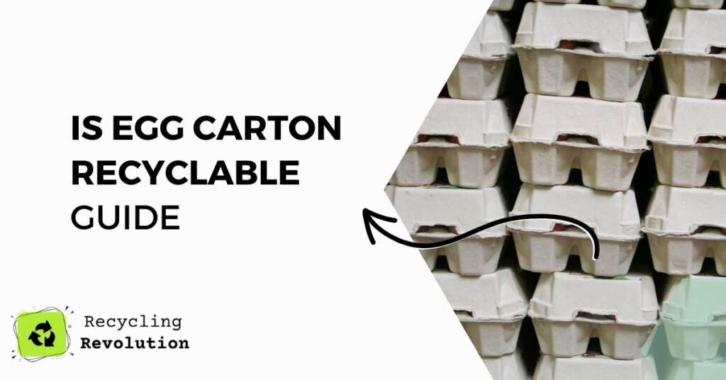 How Is Egg Carton Recyclable - Eco Friendly Guide