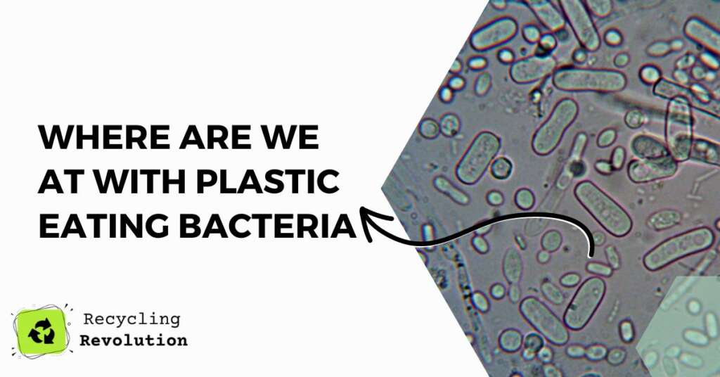 Is Plastic-Eating Bacteria The Solution For Plastic Polution