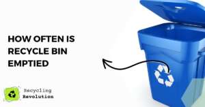 How Often Is Your Recycle Bin Emptied? A Complete Guide by Country
