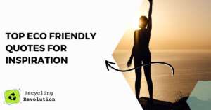 Top 50 Eco Friendly Quotes For Inspiration
